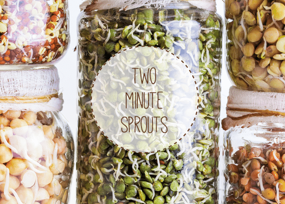 The Two Minute Guide to Growing Sprouts - Urban Turnip