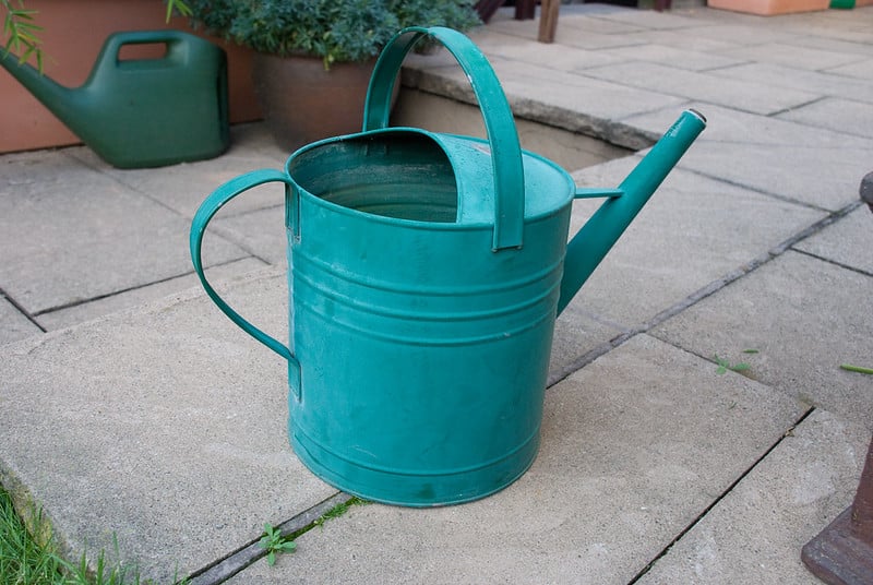 Vintage Watering Cans: A Whimsical Guide - Urban Turnip