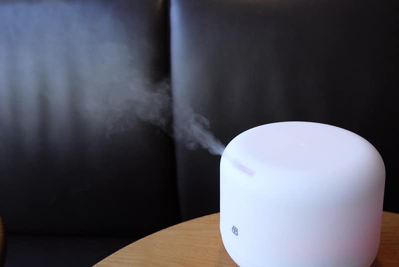 The Best Humidifiers for Plants - Urban Turnip